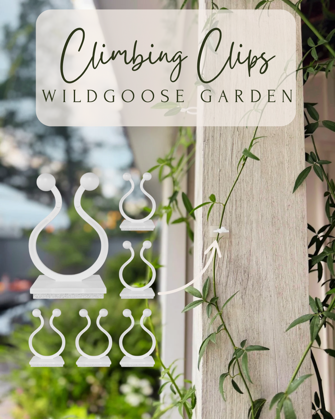 Climbing Clips: My Favorite Hack for Vining Plants – Wildgoose Garden ...